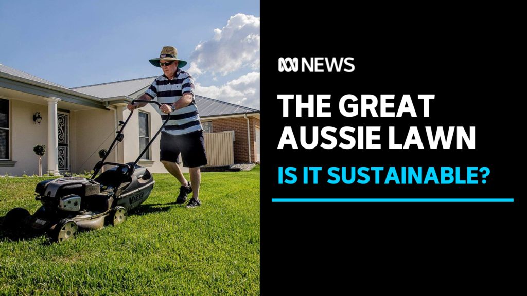 The effectiveness of income-based fines in Australia - ABC News