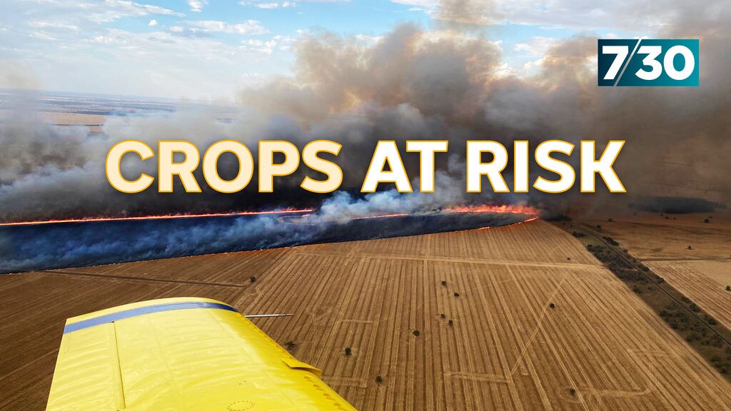 ABC New England North West