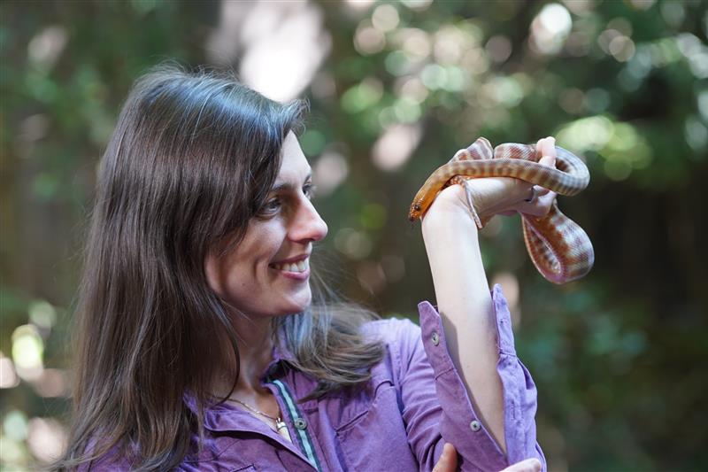 Snake bite victims urged to seek medical help regardless of what type ...