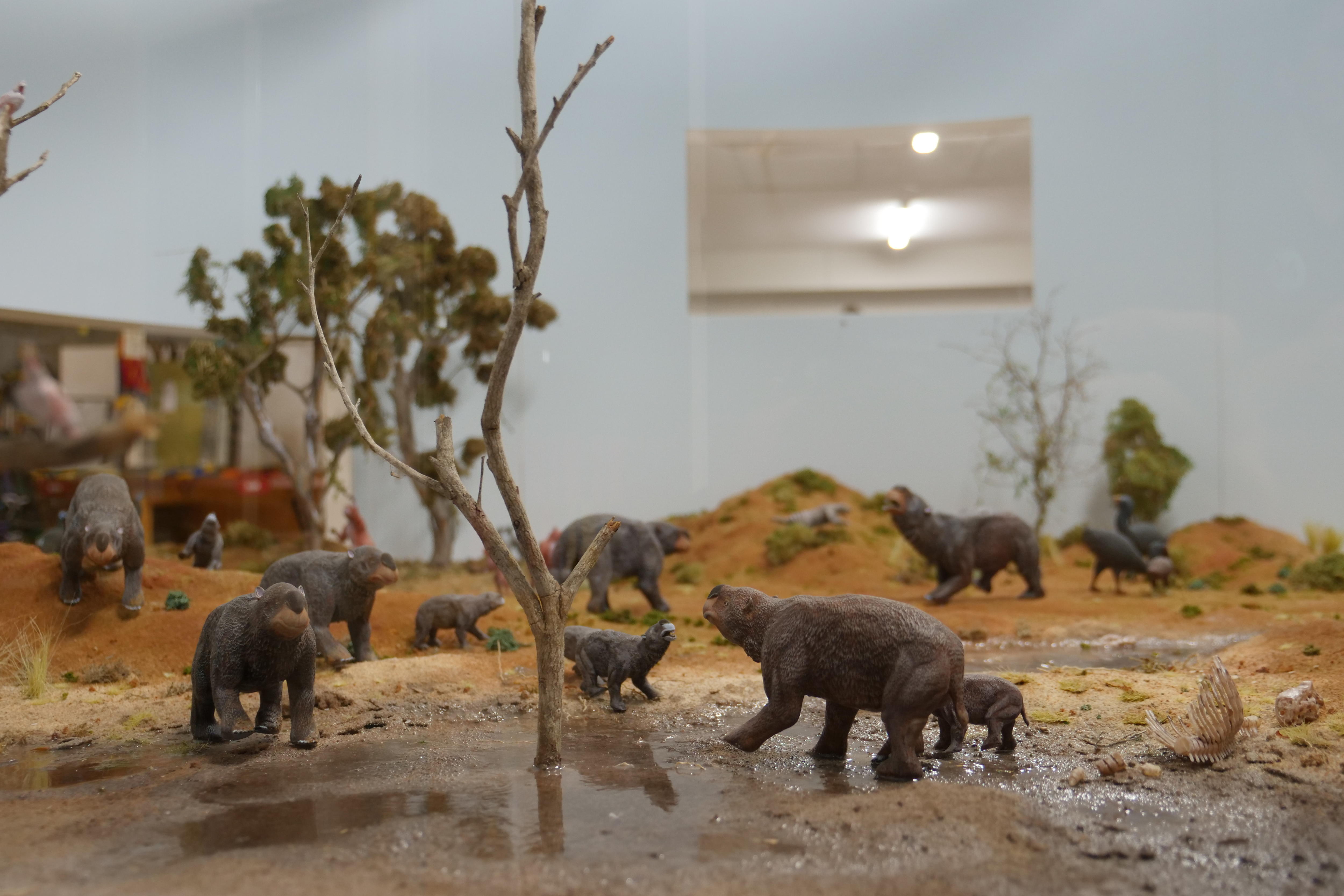 Central Darling's new megafauna display throws spotlight on extinct ...
