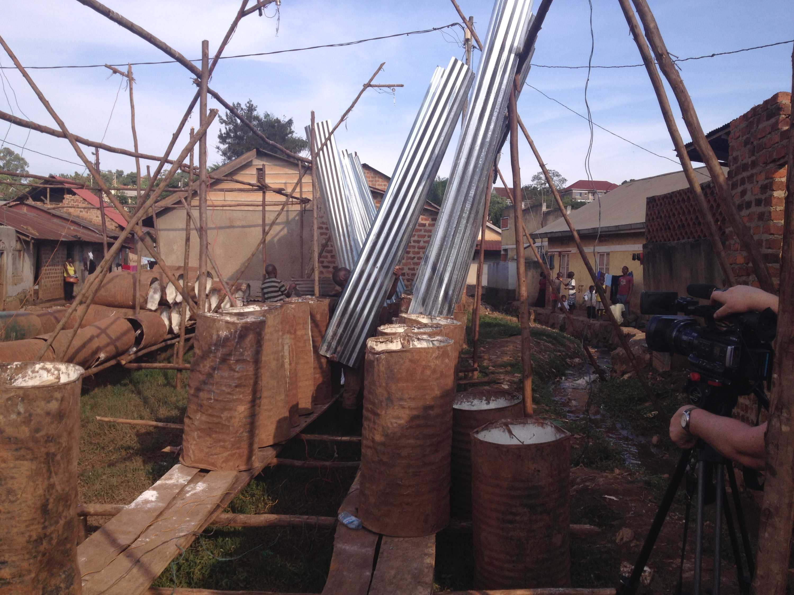 Predicting Uganda's grasshopper season is a high-stakes gamble - ABC News