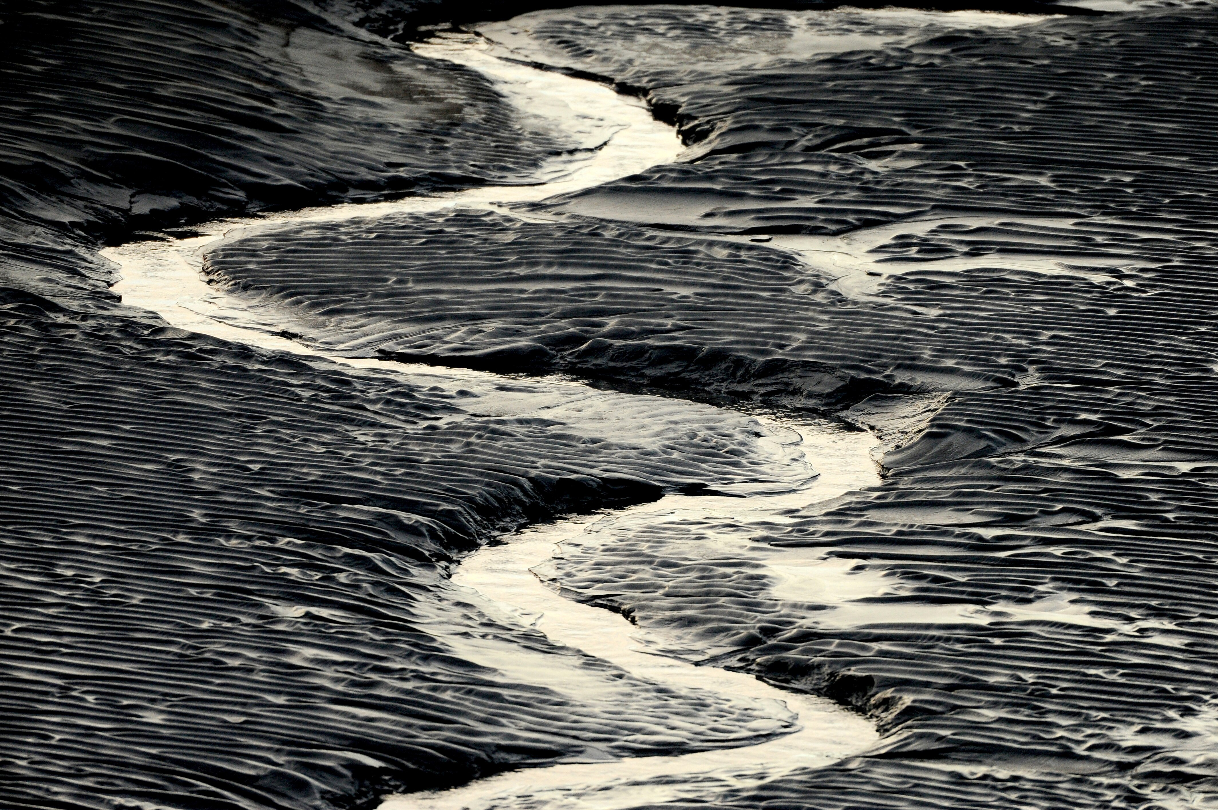 Man, 20, drowns after getting stuck in quicksand-like mudflats near ...