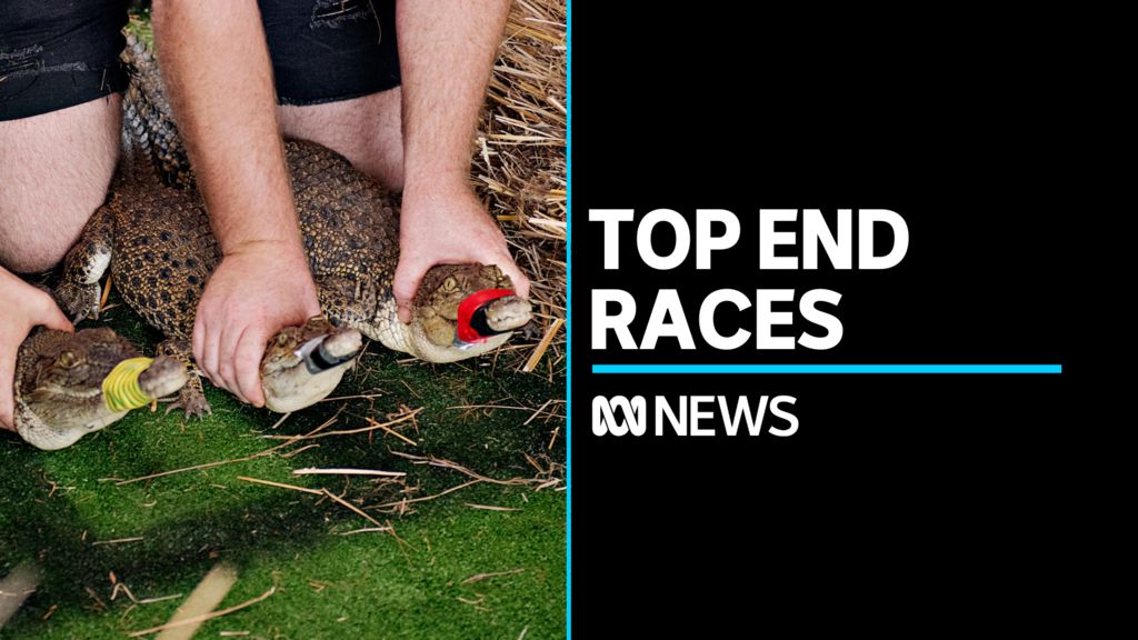 NT pubs hold croc races to celebrate Melbourne Cup - ABC News
