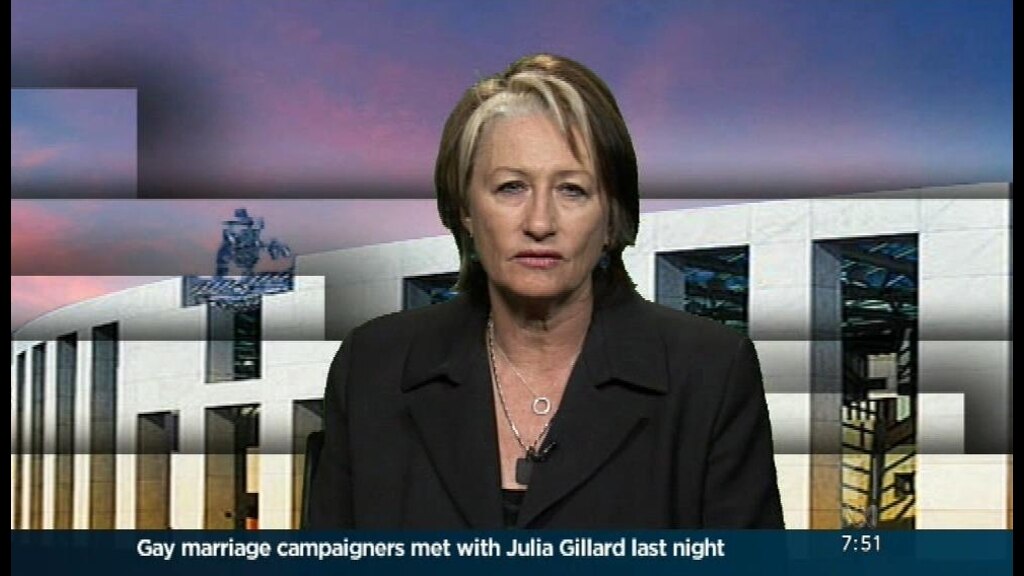 Interview with Kerryn Phelps - ABC News