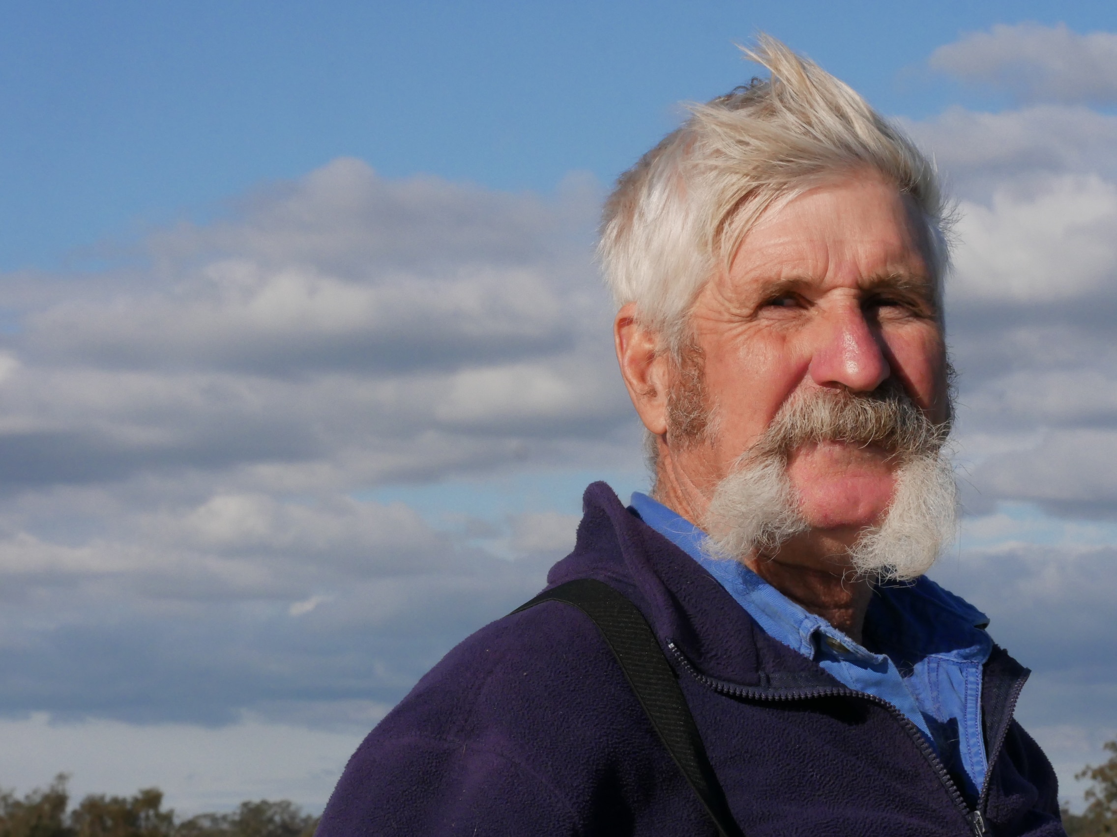 Farmer says flood plain harvesting has forced him to run cattle by the ...