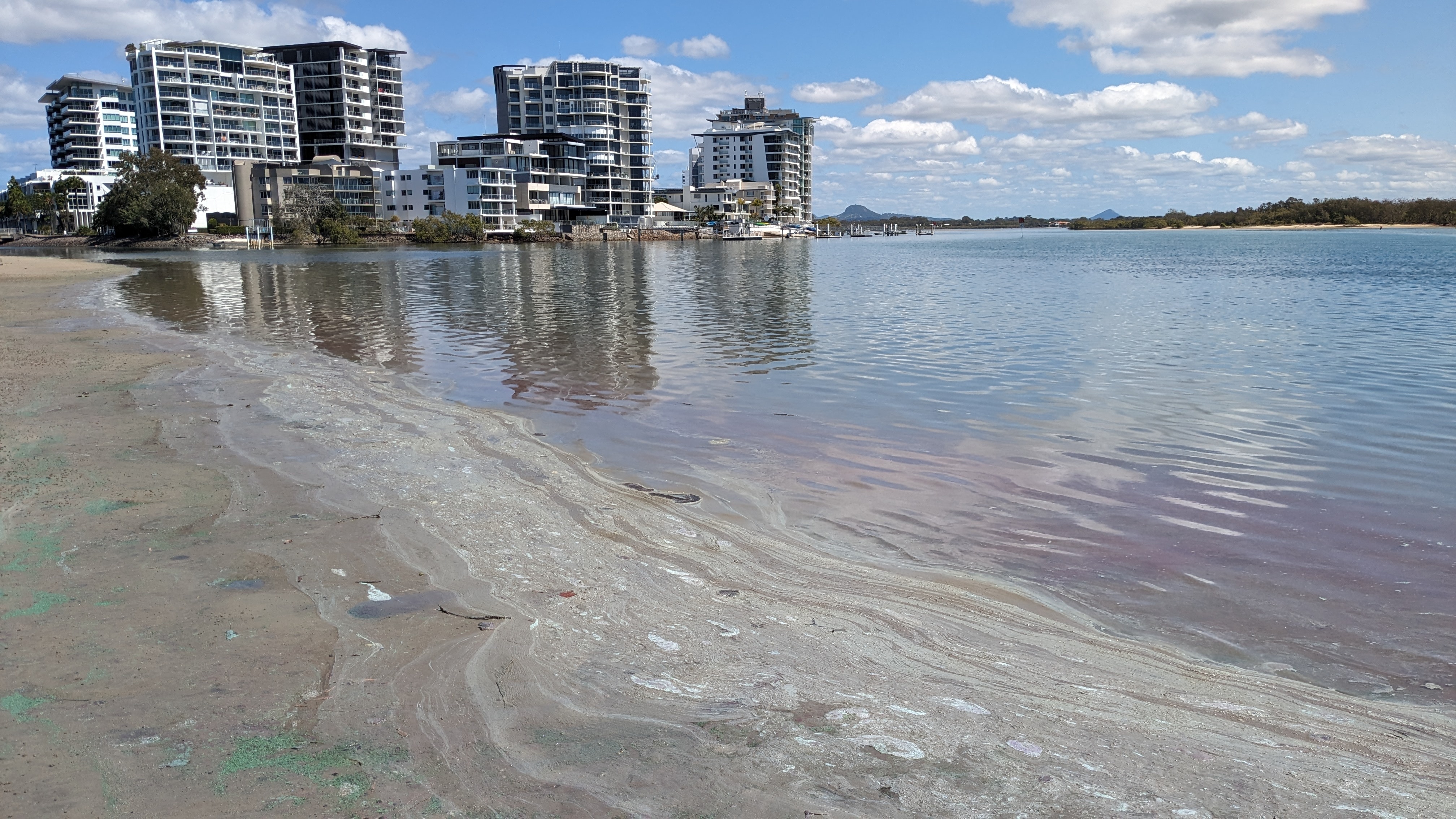 Algae blooms causing foul smells, weird colours on popular Queensland ...