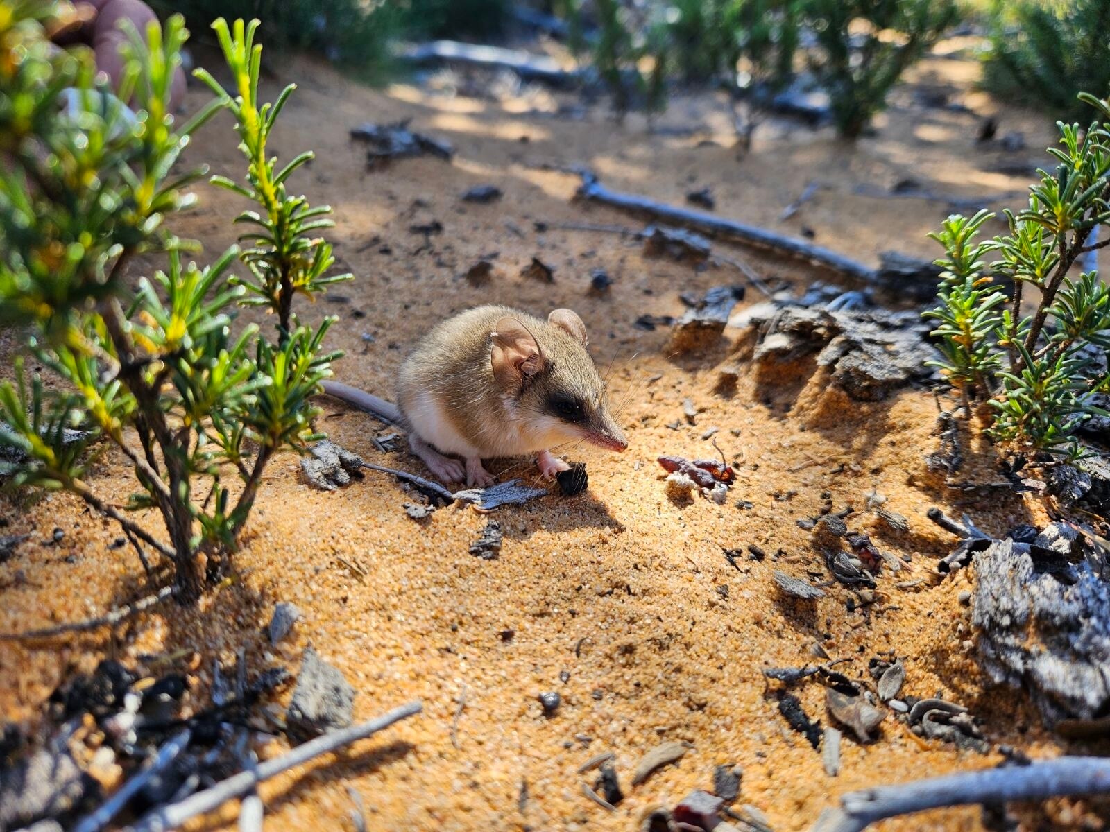 WA - Location - ABC News