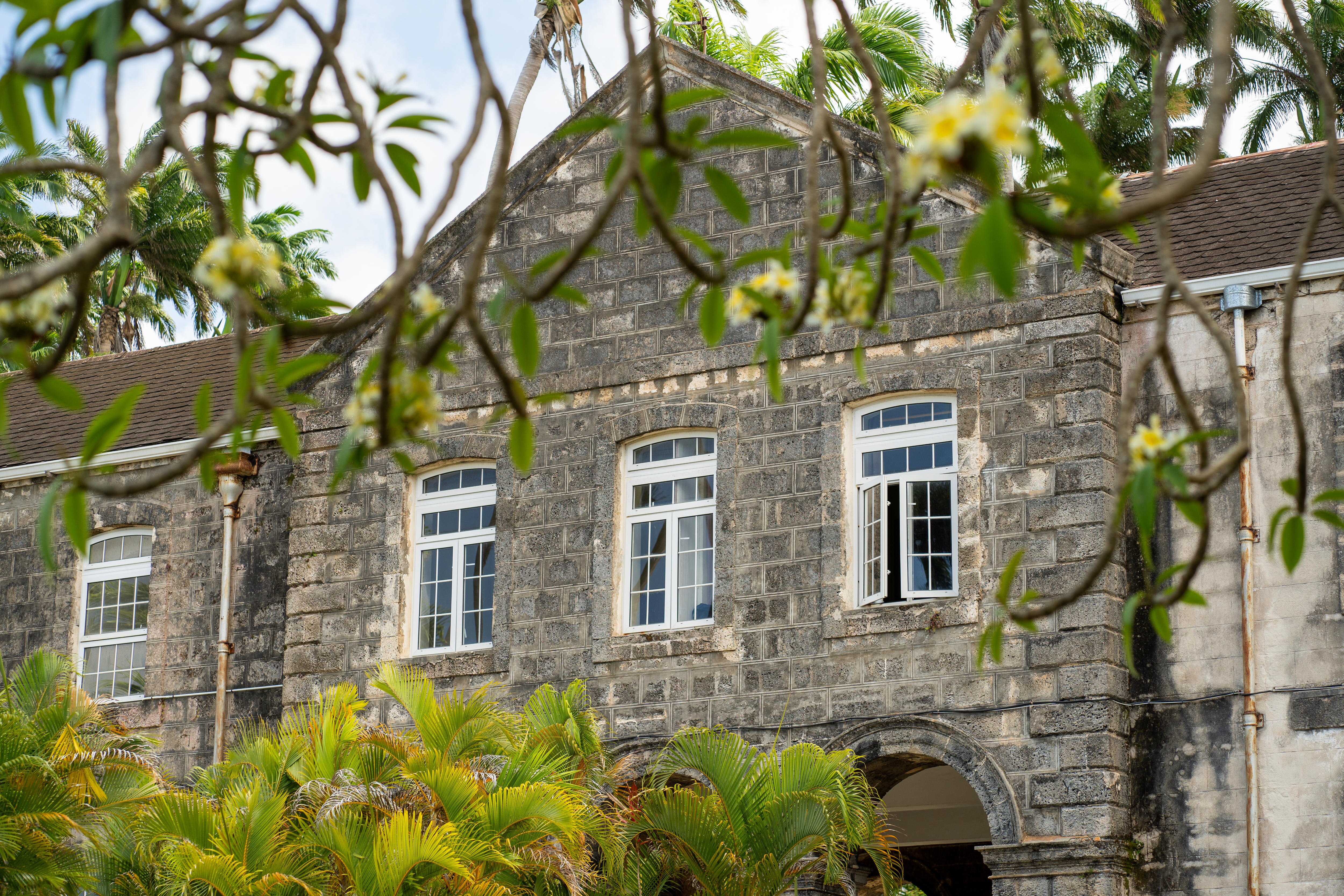 The tiny Caribbean nation leading the fight for slavery reparations ...