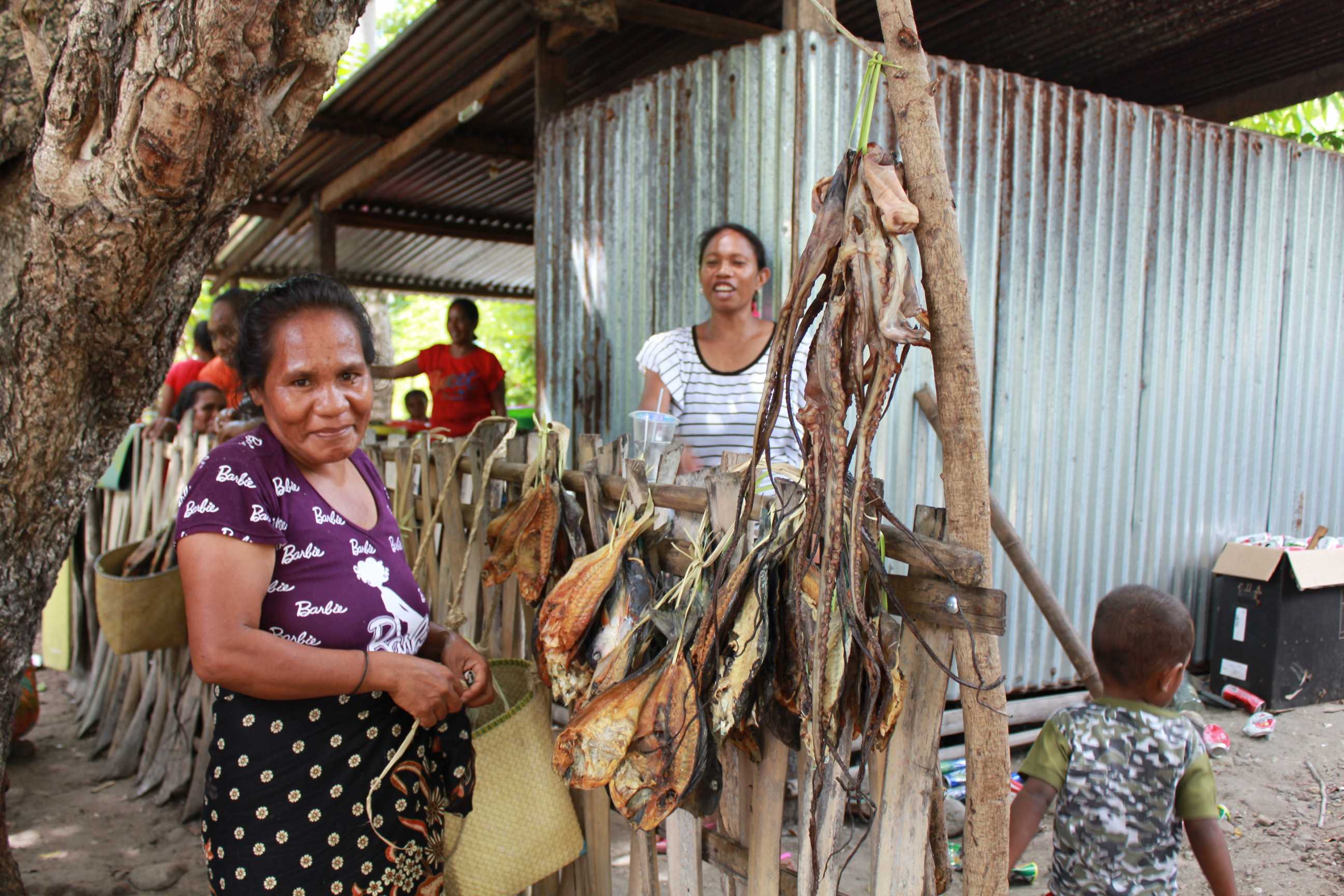 Raising the living standards of Timor's poorest people, farmers and ...