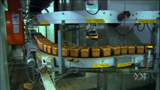 For the Juniors: Making Bread in a Factory - ABC Education