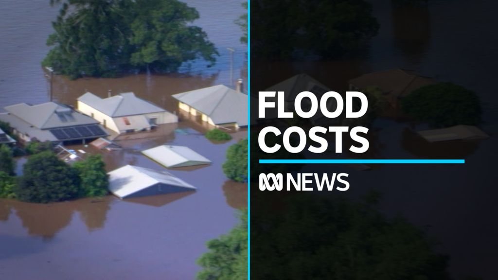 Floods cost economy $5 billion last year - ABC News