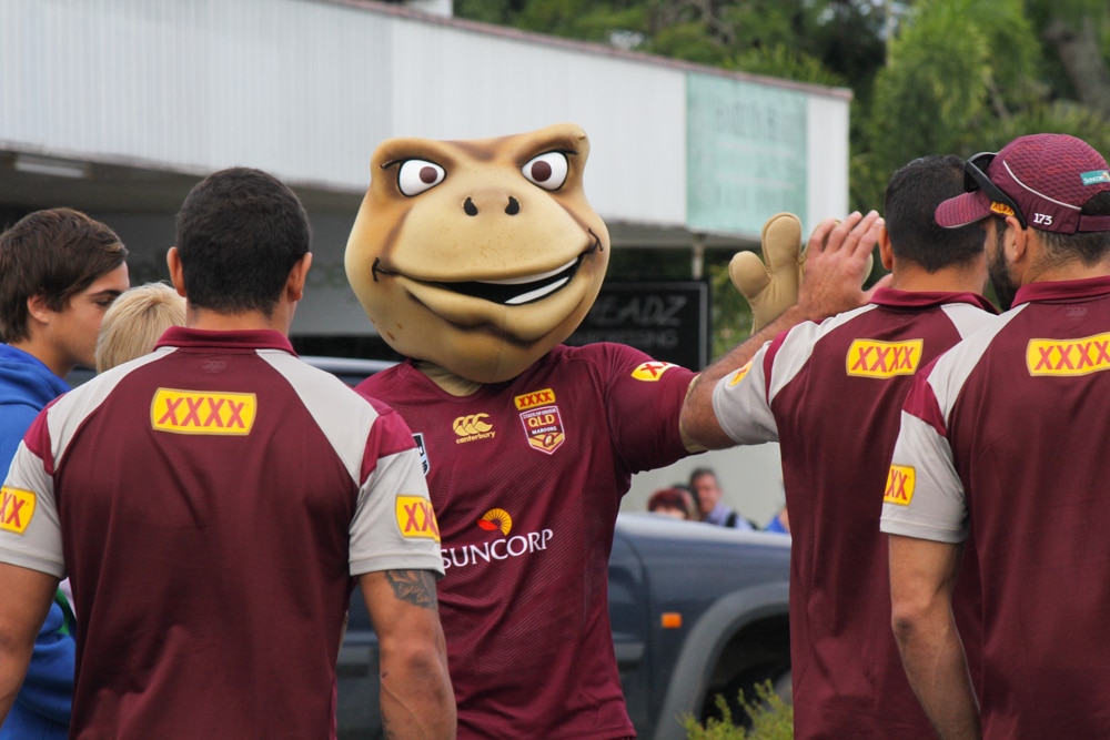 State of Origin: What is life like for Queensland's cane toad mascot ...