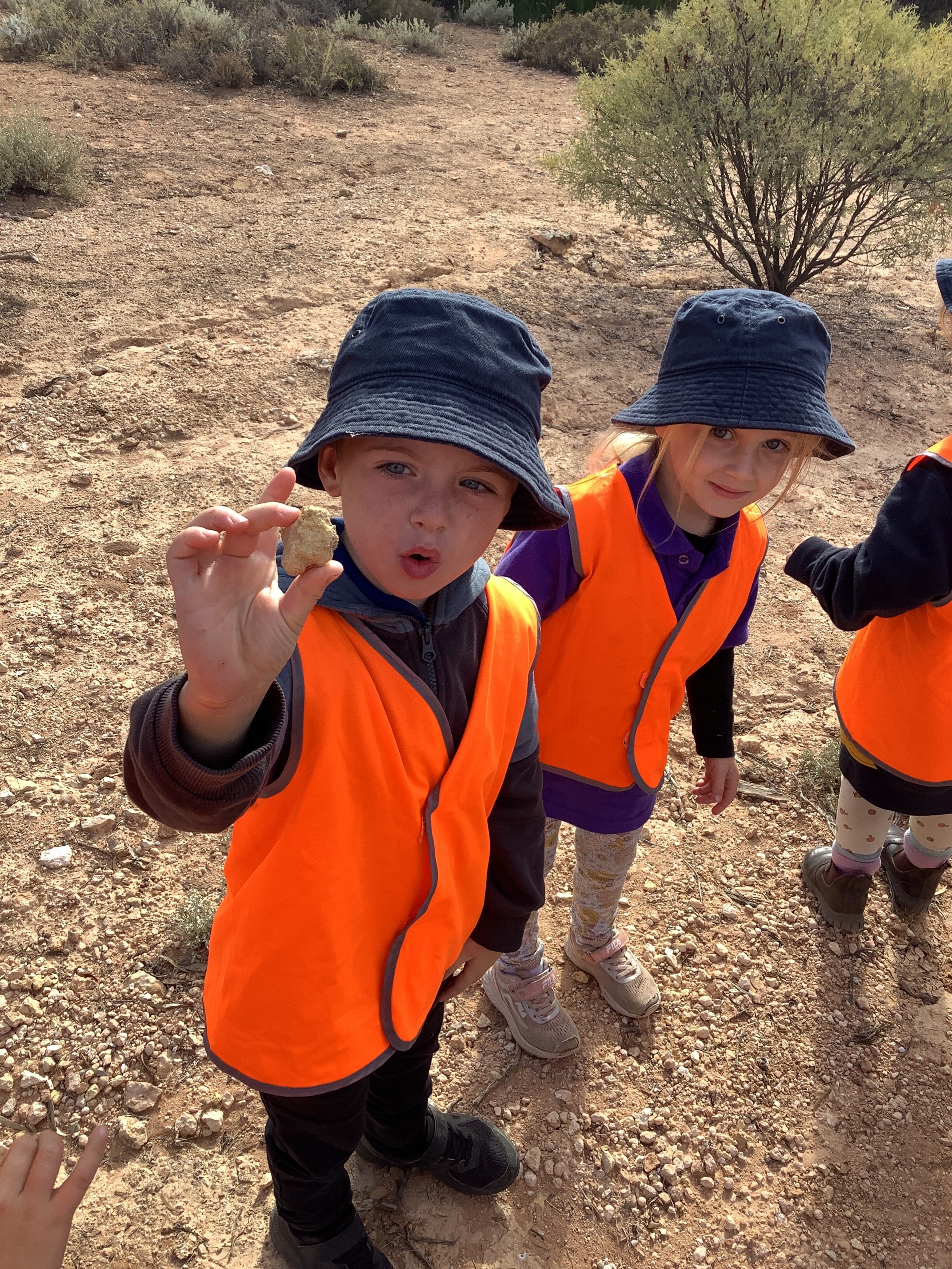 Kids love The Gully in Morgan - ABC listen