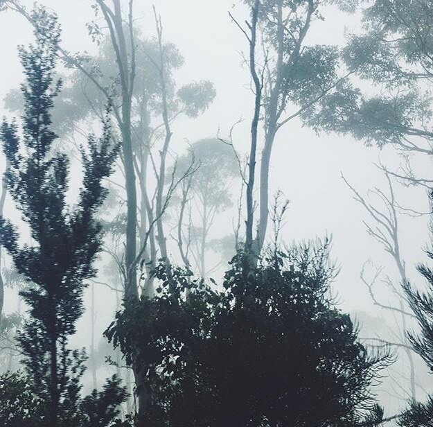 Drive on Wednesday - ABC listen