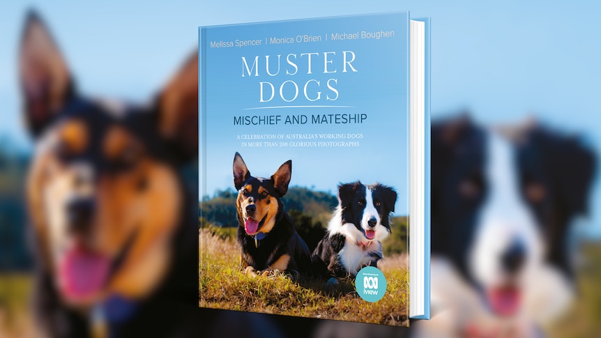 ABC Muster Dogs Product Range - ABC Shop ABC Muster Dogs Product Range - ABC Shop
