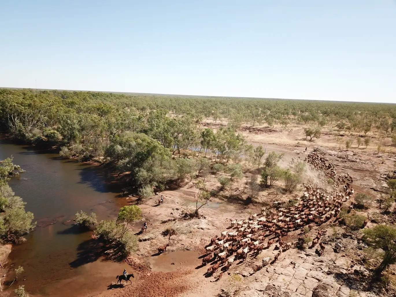 Nardoo Station, in Queensland's Gulf Country, sells for record price ...