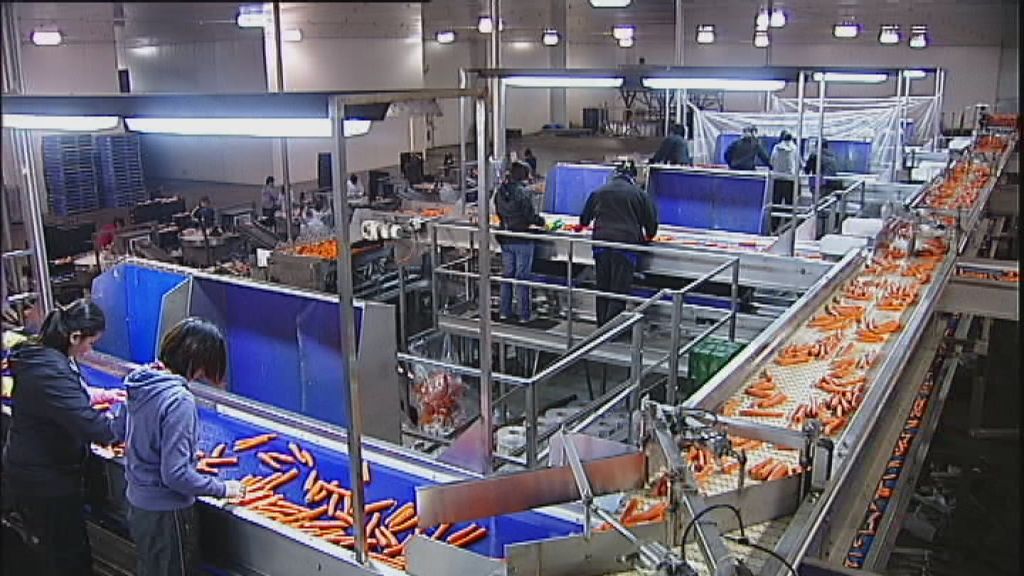 Concern over migrant worker exploitation - ABC News