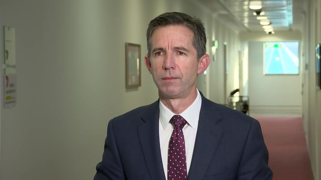 Simon Birmingham hits out at Albanese for Assange phone call - ABC News