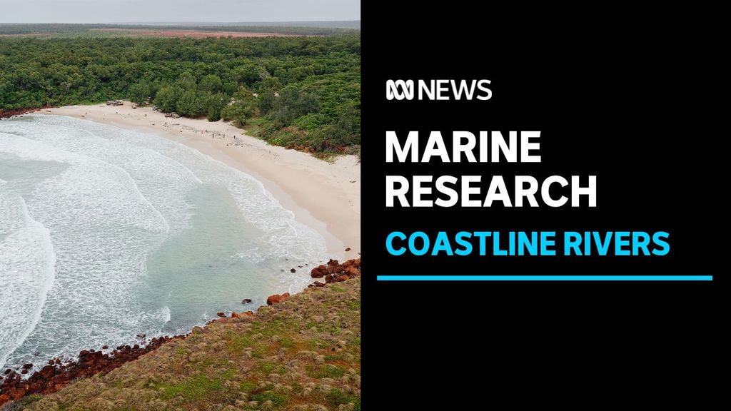 Scientists team up with local Indigenous rangers - ABC News