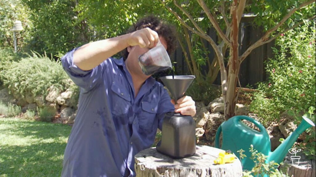 Autumn Jobs - Gardening Australia