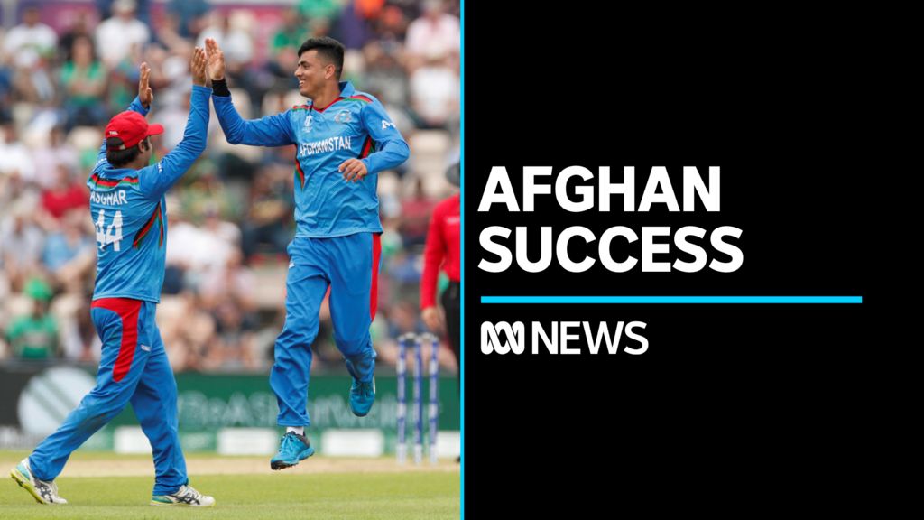 Success of Afghanistan cricket team brings joy to the nation - ABC News