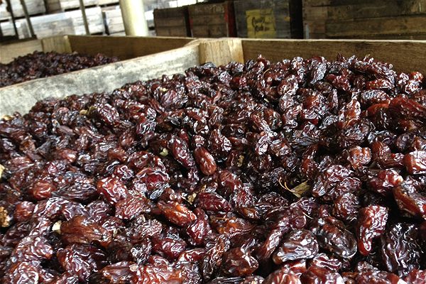 Keep Your Bones Happy With Prunes - ABC listen