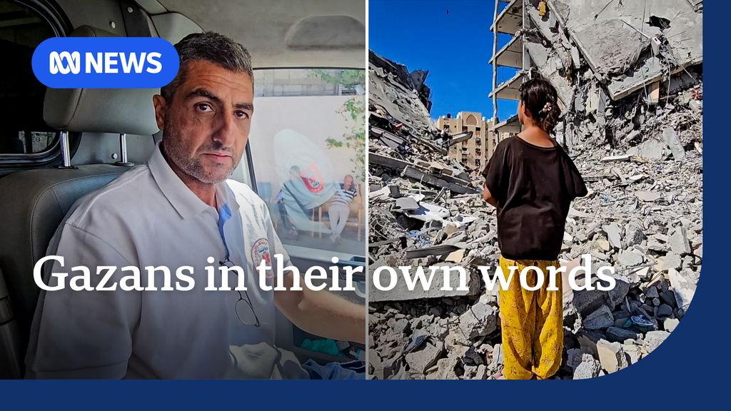 Florida highway patrol rescues dog in the middle of flooded field in ...