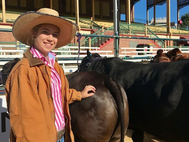 Ekka: Youth take centre ring at Royal Queensland Show - ABC News