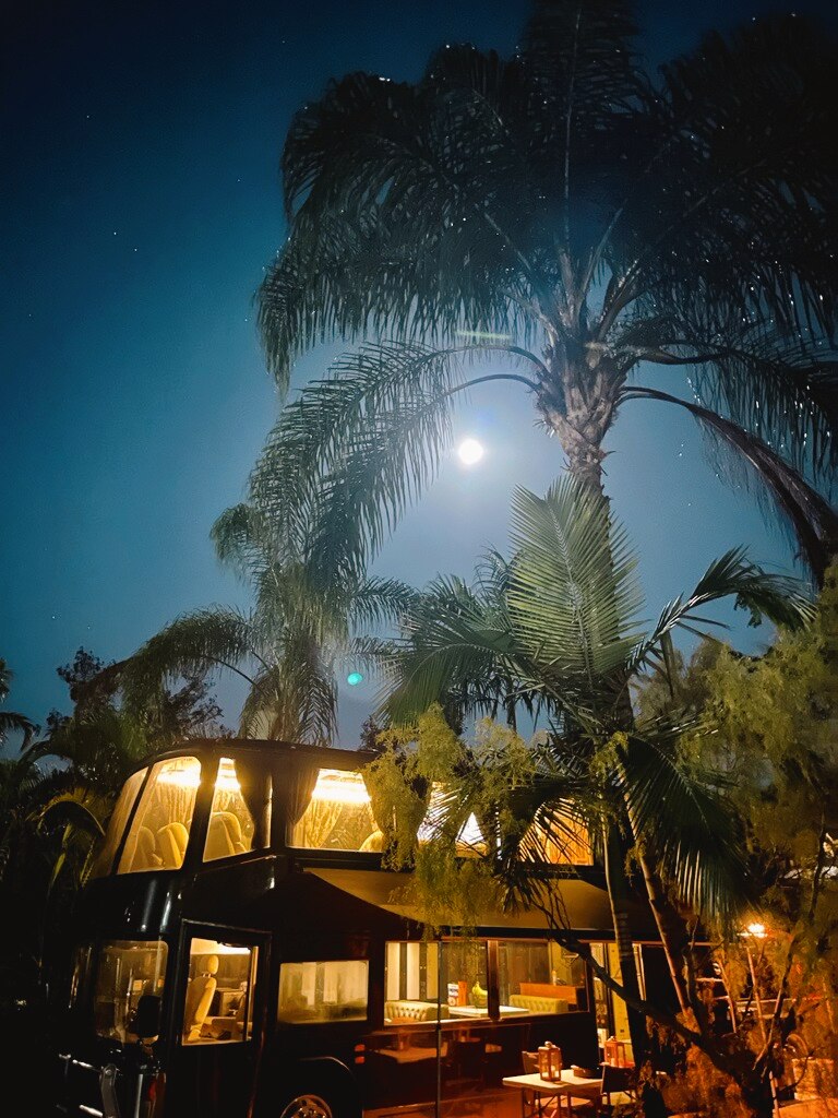 Adventures with Brutus the Bus - ABC listen