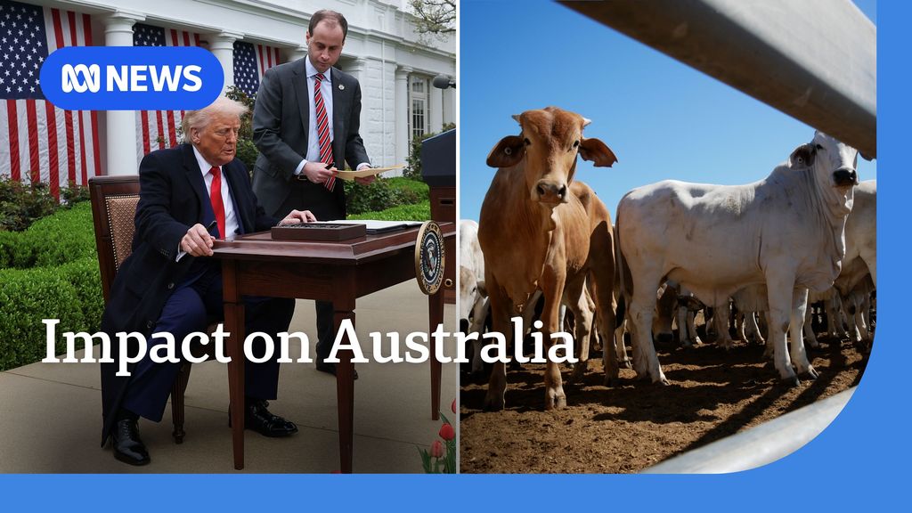 How will Trump tariffs impact Australia? - ABC News