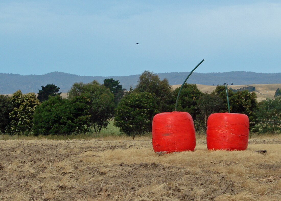 Farm gate fruit guide launched at Somercotes - ABC News