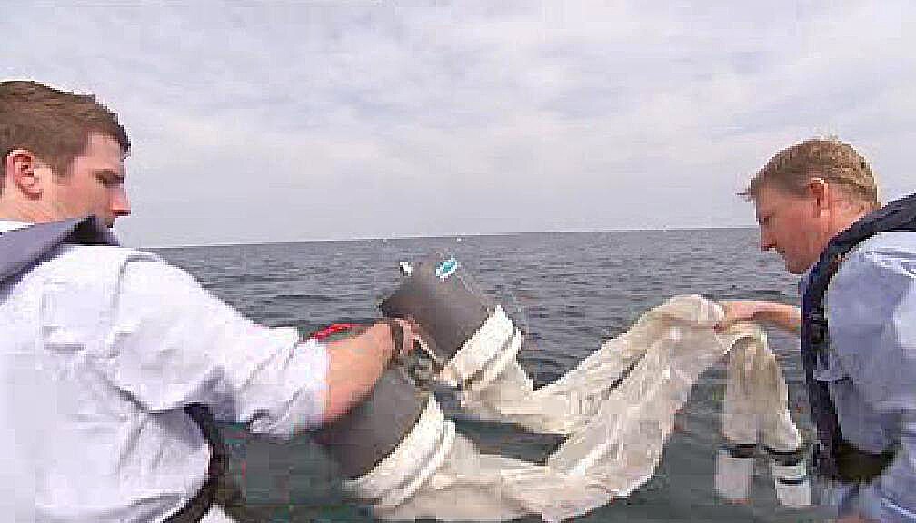 Research team checks desalination brine discharge - ABC News