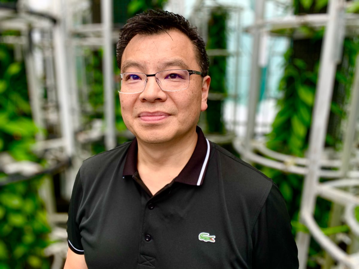 Sydney inventor David Soo can grow $600,000 worth of vanilla from his ...