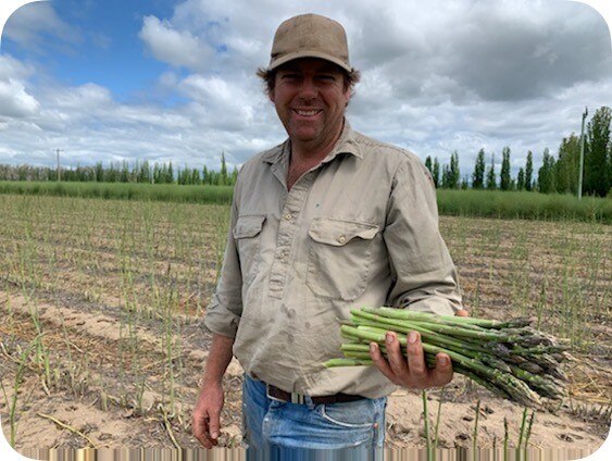 Like Asparagus? Why its turned to fern this year. - ABC listen