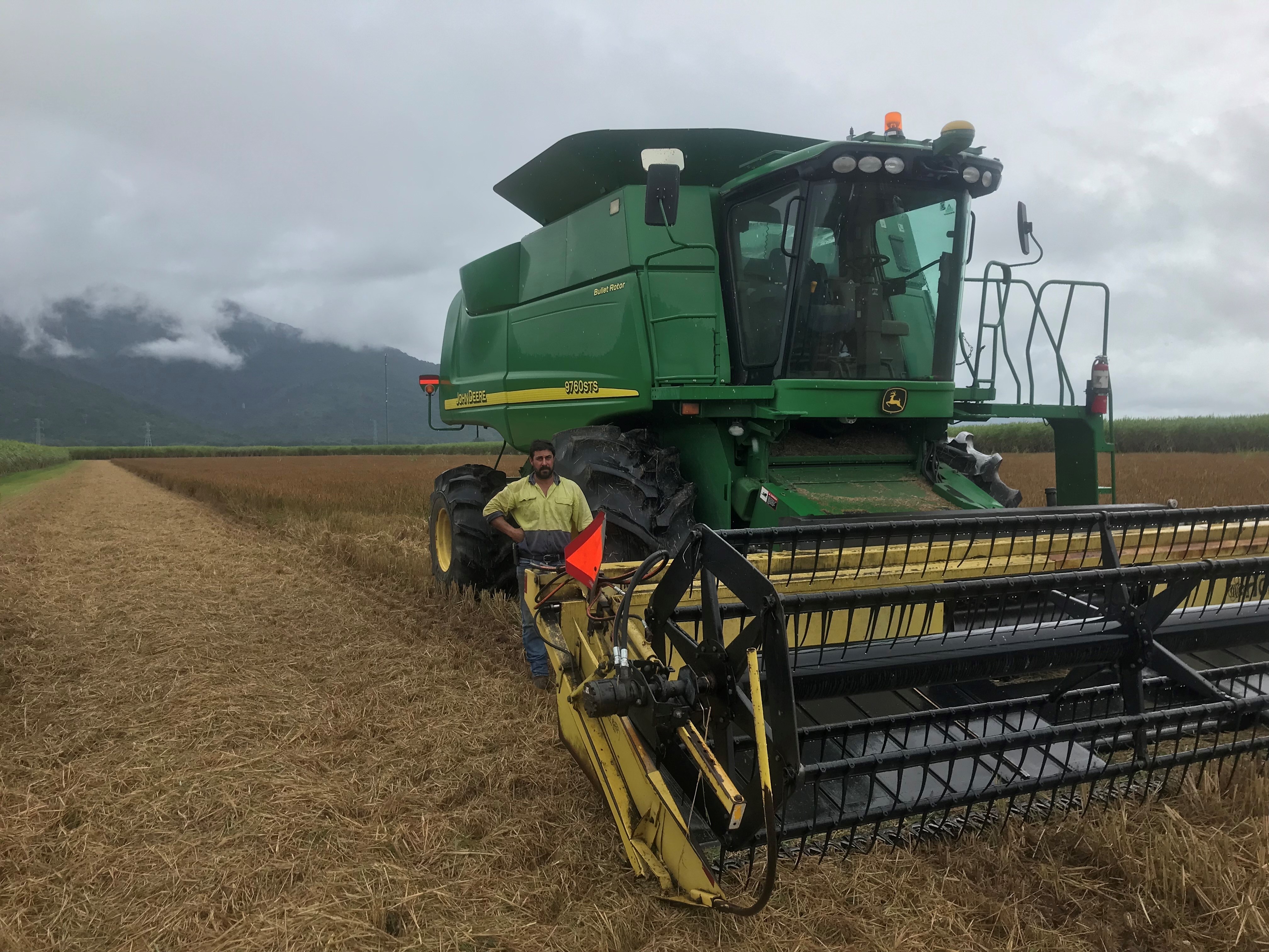 Black rice harvested for first time in Australia as superfood demand ...