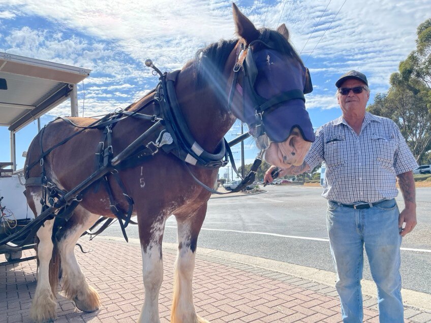 South Australian Country Hour - ABC listen