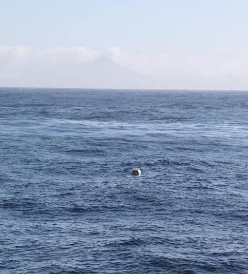 Monster 23.8m-wave is largest ever recorded in southern hemisphere ...