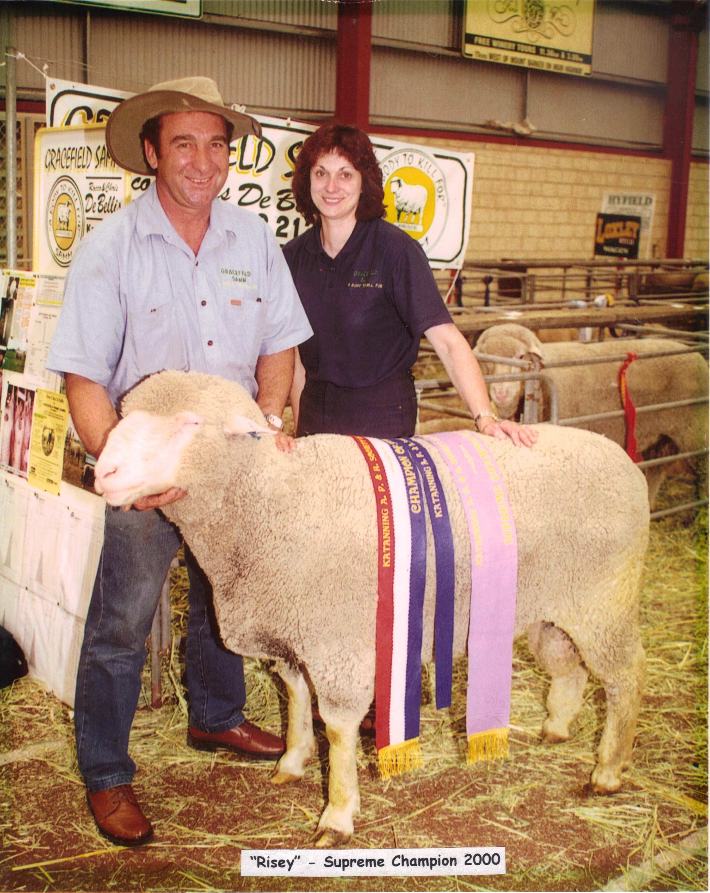 Tributes flow for legendary Gracefield SAMM Stud sheep breeder and ...