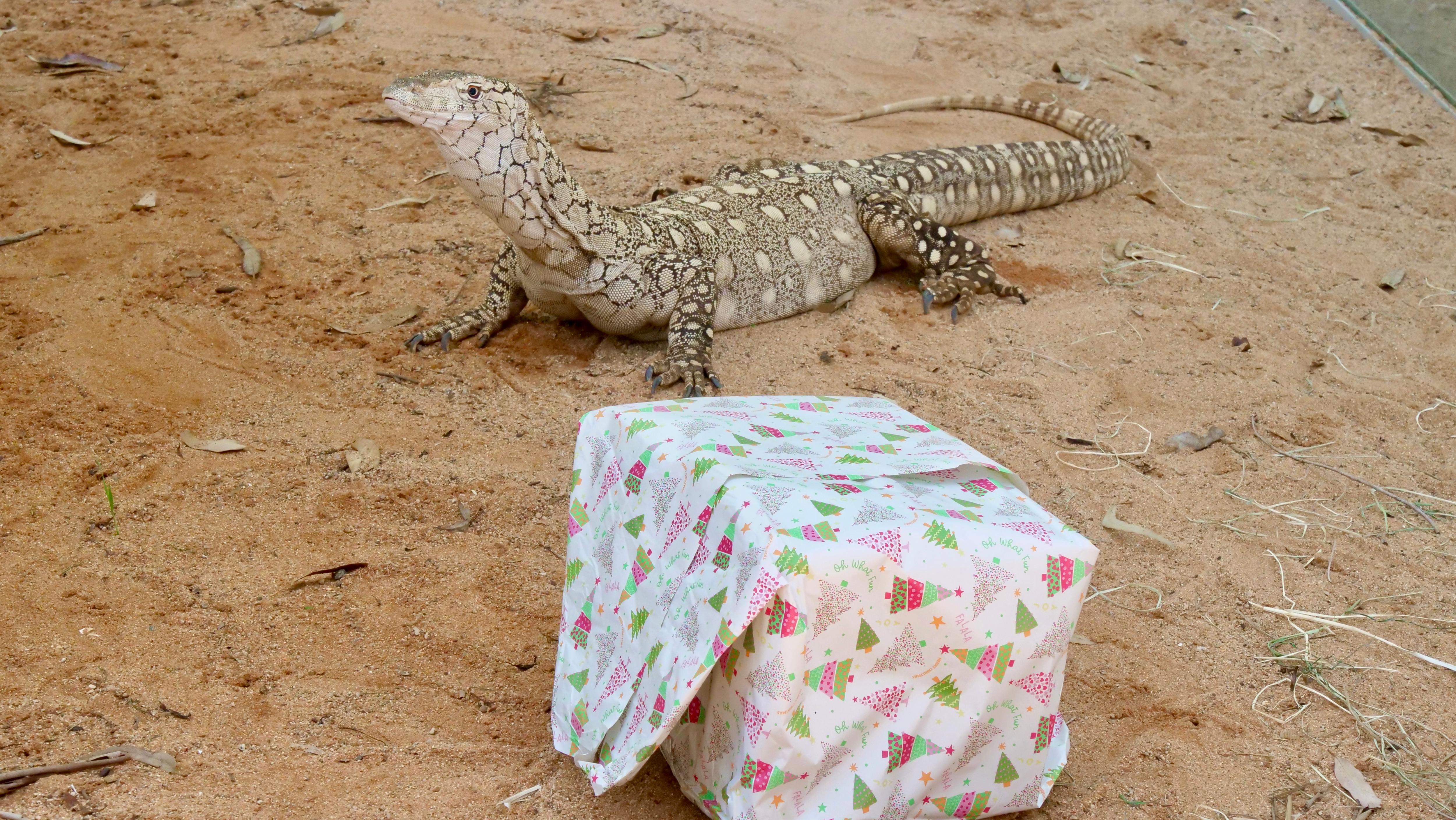 Time with loved ones, helping hands — How Australia is celebrating ...