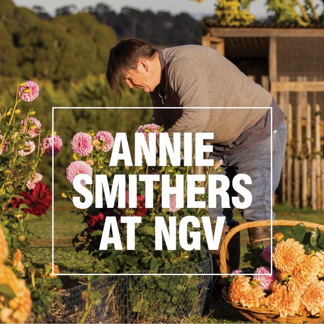 Annie Smithers' Kitchen Rudimental — A tour of the NGV kitchen - ABC listen
