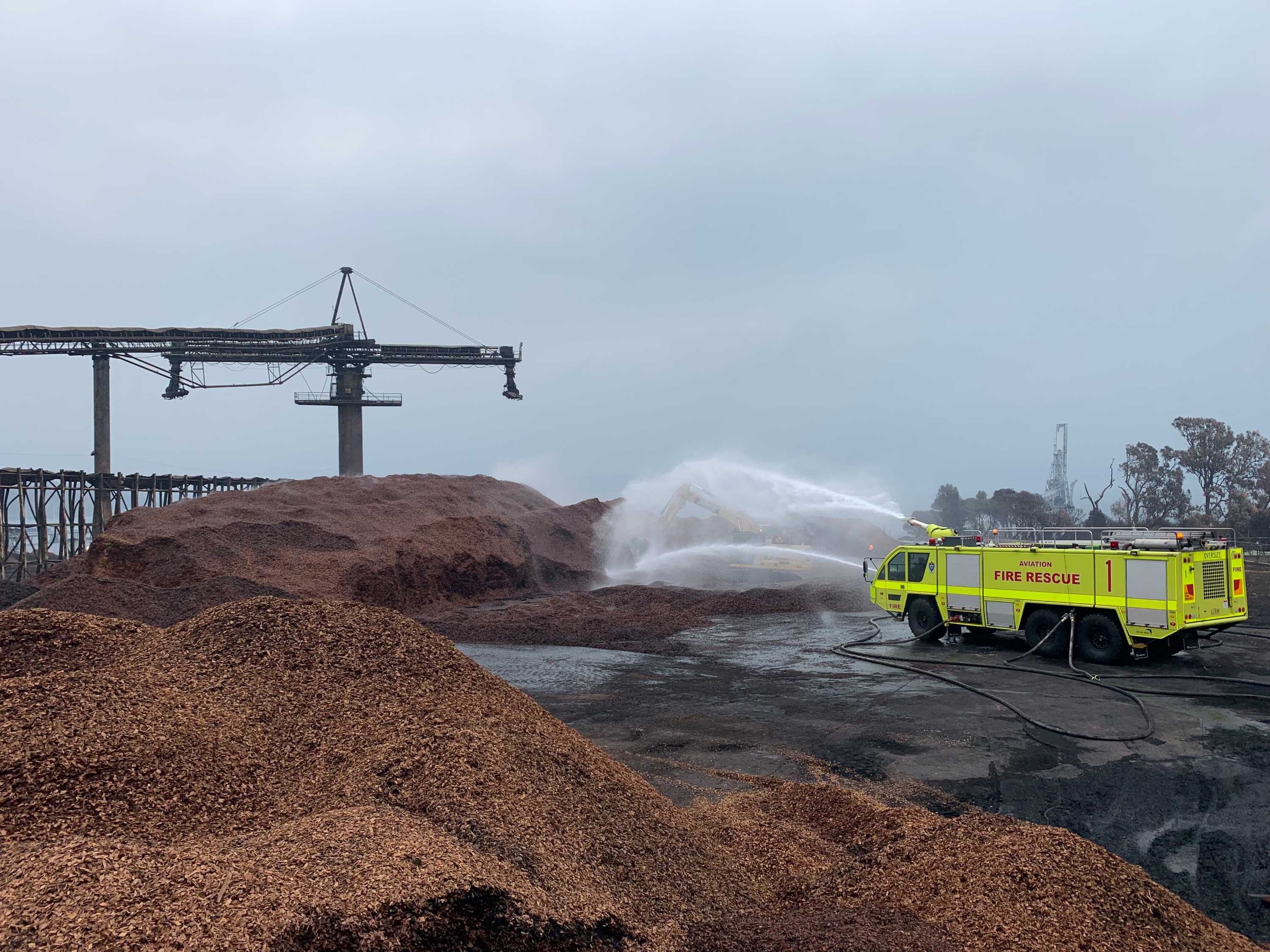 Eden woodchip mill to resume operations this week despite devastation ...