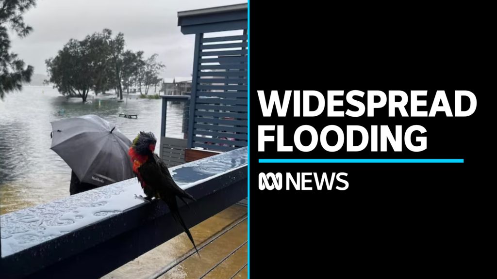More extreme weather on the way as NSW is hit with widespread flooding ...