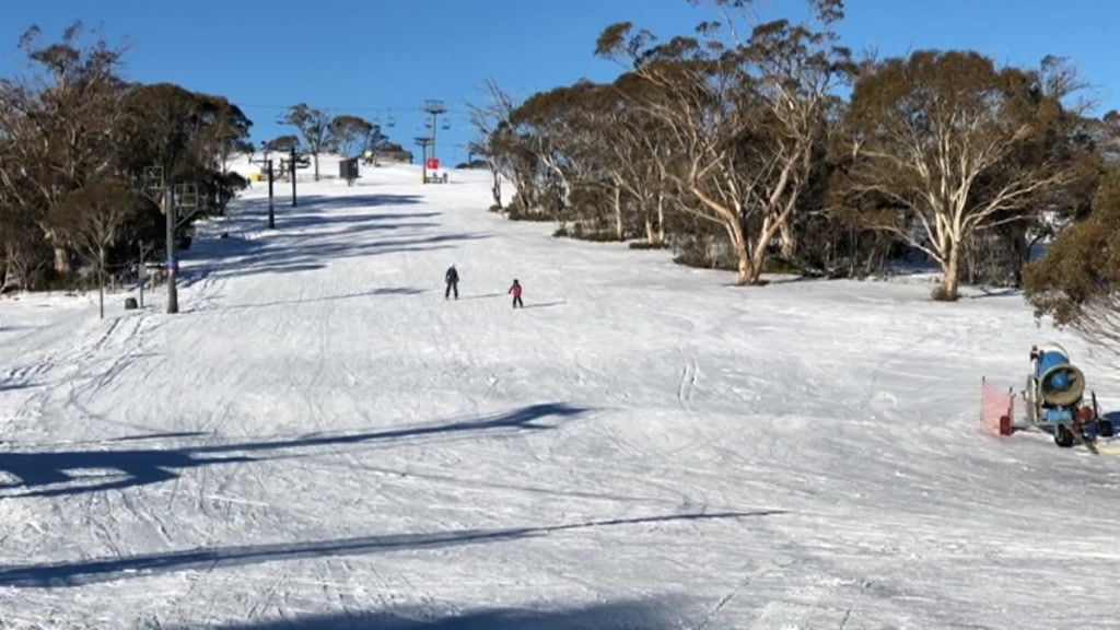 The slopes of Mt Selwyn before and after the bushfires - ABC News