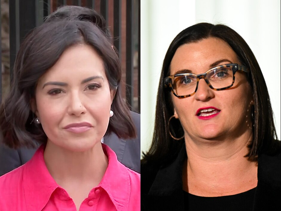 NSW government and opposition accusing each other of copying education ...