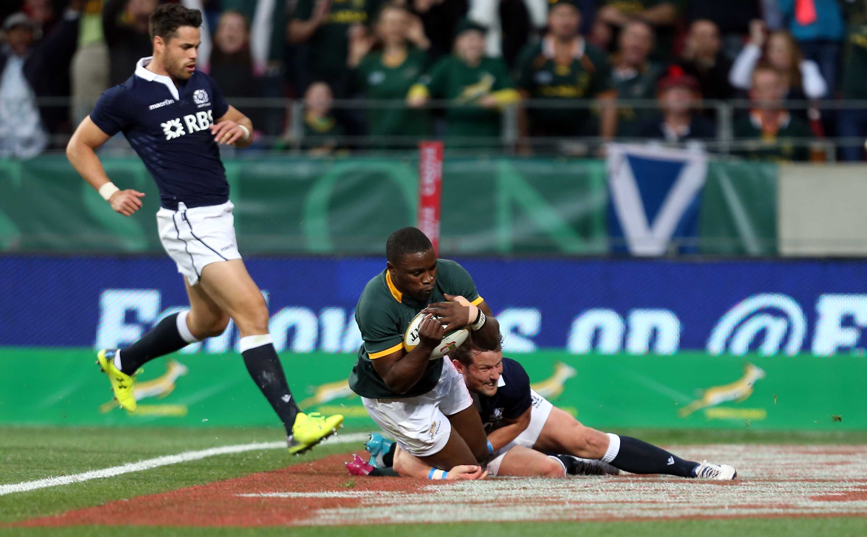 Springboks score eight tries past Scotland to romp home 55-6 in one-off ...