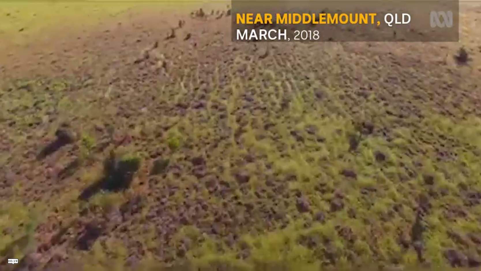 Drone footage showing vast patches of dead grass caused by 'pasture ...
