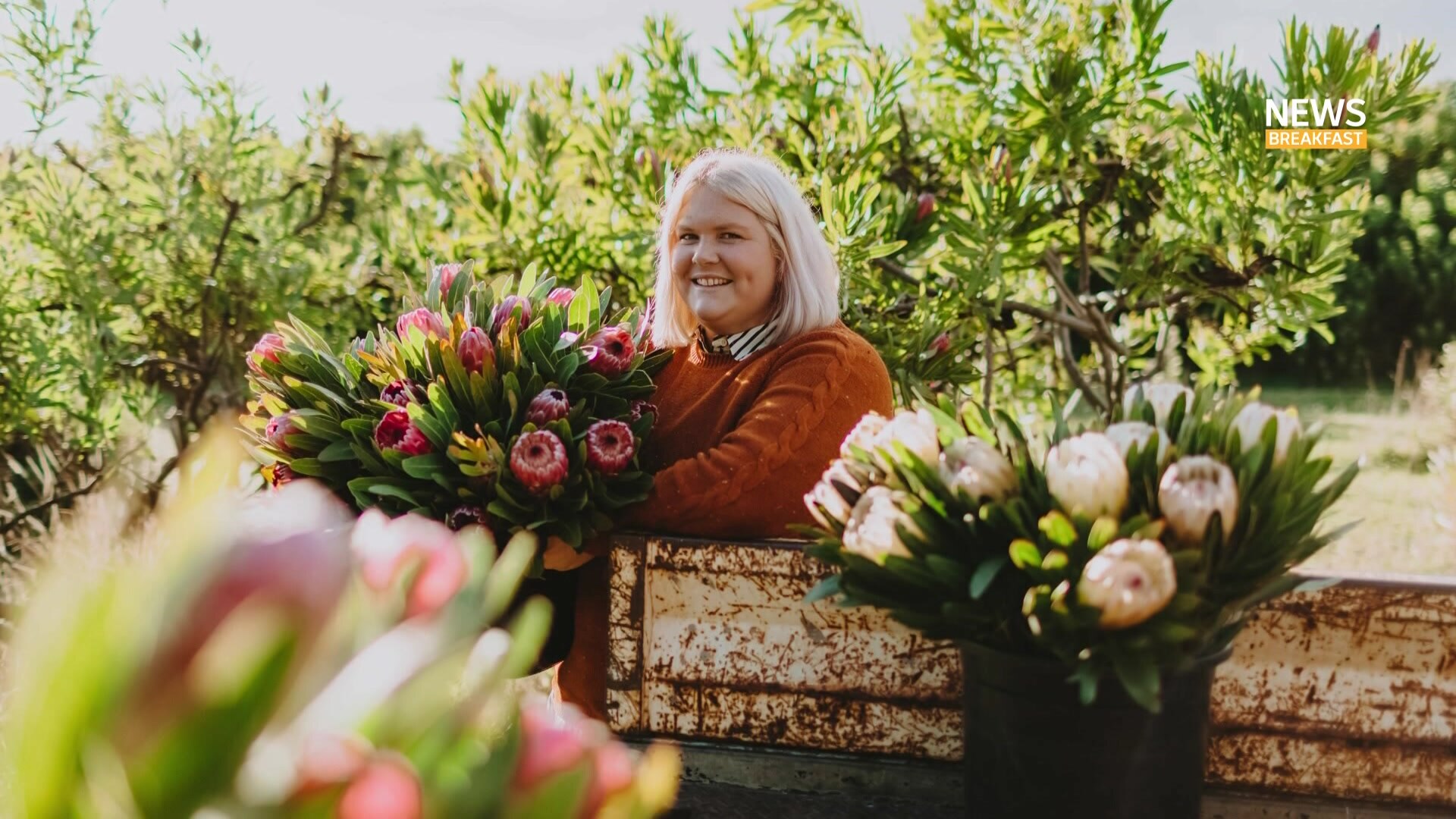 Nikki Davey takes home 2023 Rural Women's Award - ABC News