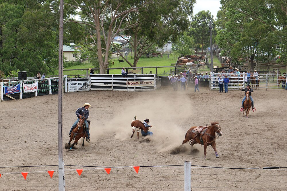 Record crowd at Wingham Summertime Rodeo in New South Wales - ABC News