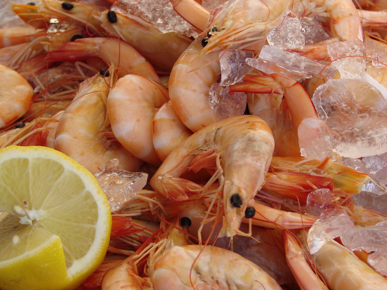 Celebration of Queensland seafood - ABC News