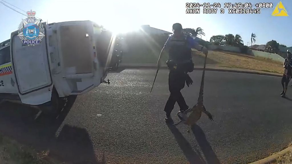 Carnarvon Police nab 'aggressive' lizard - ABC News